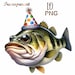 10 Bass Fish PNG, Funny Bass Fish,watercolor Bass, Birthday Fish PNG ...