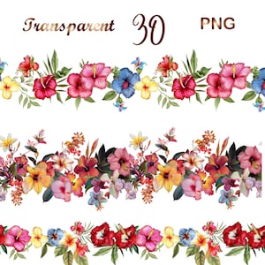 30 PNG Flower Border, Floral Clipart, Seamless Flower Border, Orchids ...