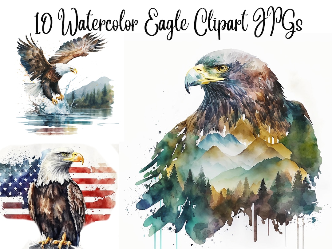 10 Watercolor Eagle Clipart, Eagle Clipart, Jpgs, Commercial Use ...