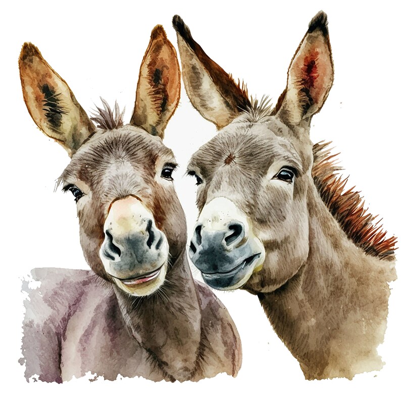 12 Happy Donkeys Clipart Donkey Clipart JPG Commercial - Etsy UK