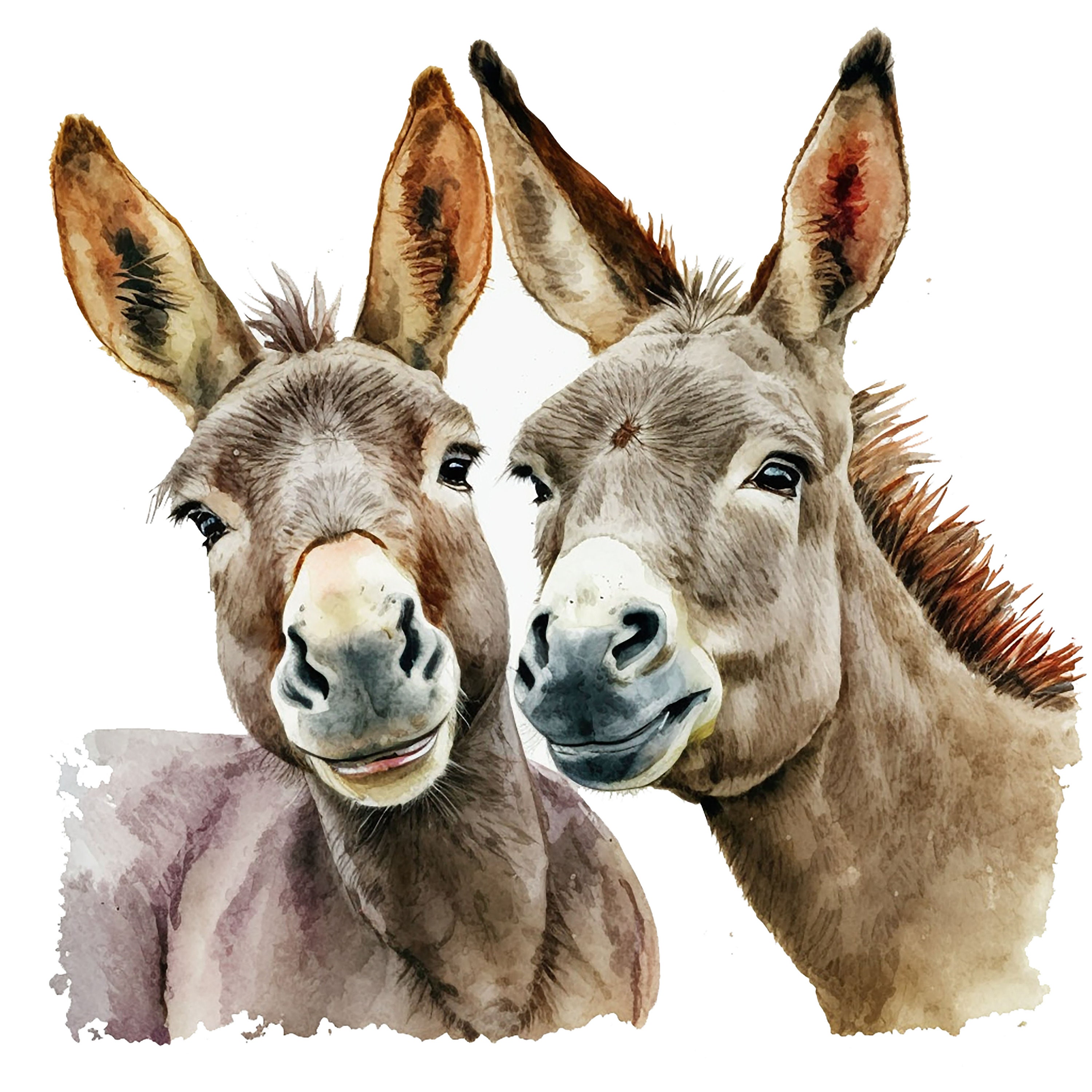 12 Happy Donkeys Clipart, Donkey Clipart, JPG, Commercial Use,digital ...