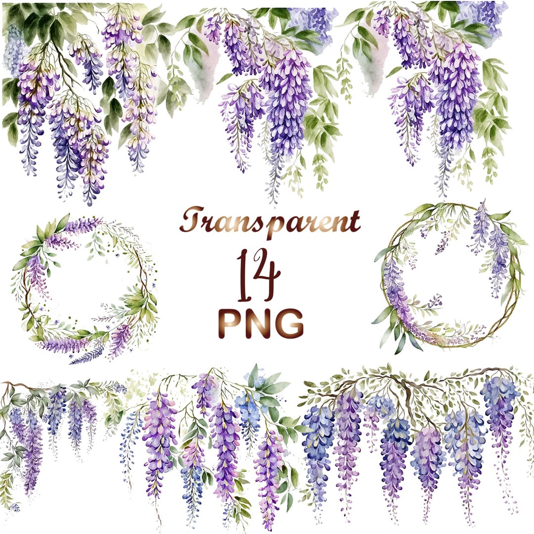 14 Wisteria Frame Clipart PNG, Floral Clipart, Wisteria Clipart, Flower ...