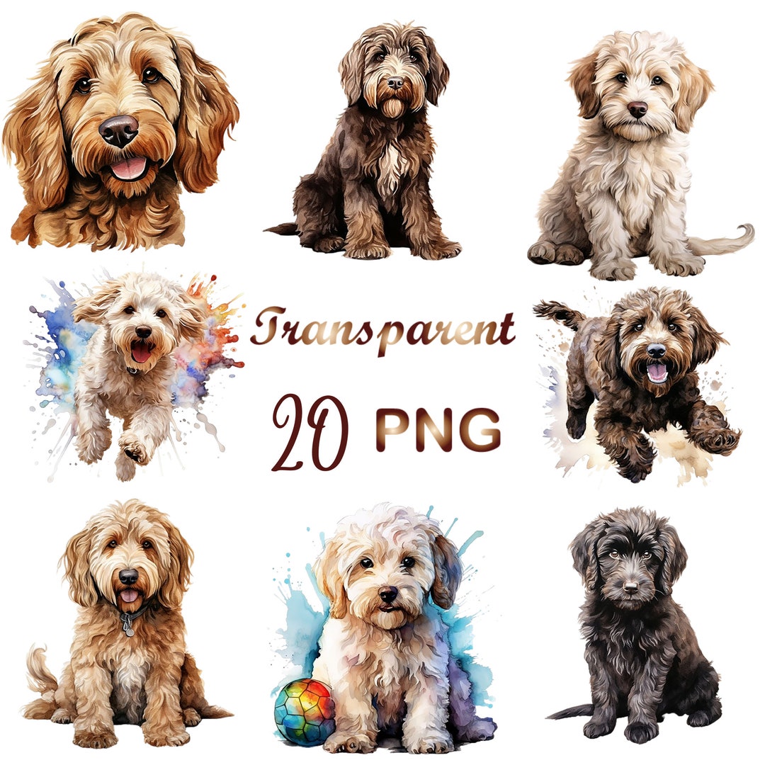 20 Labradoodle Clipart Bundle PNG, Labradoodle Dog Breed, Bundle For ...