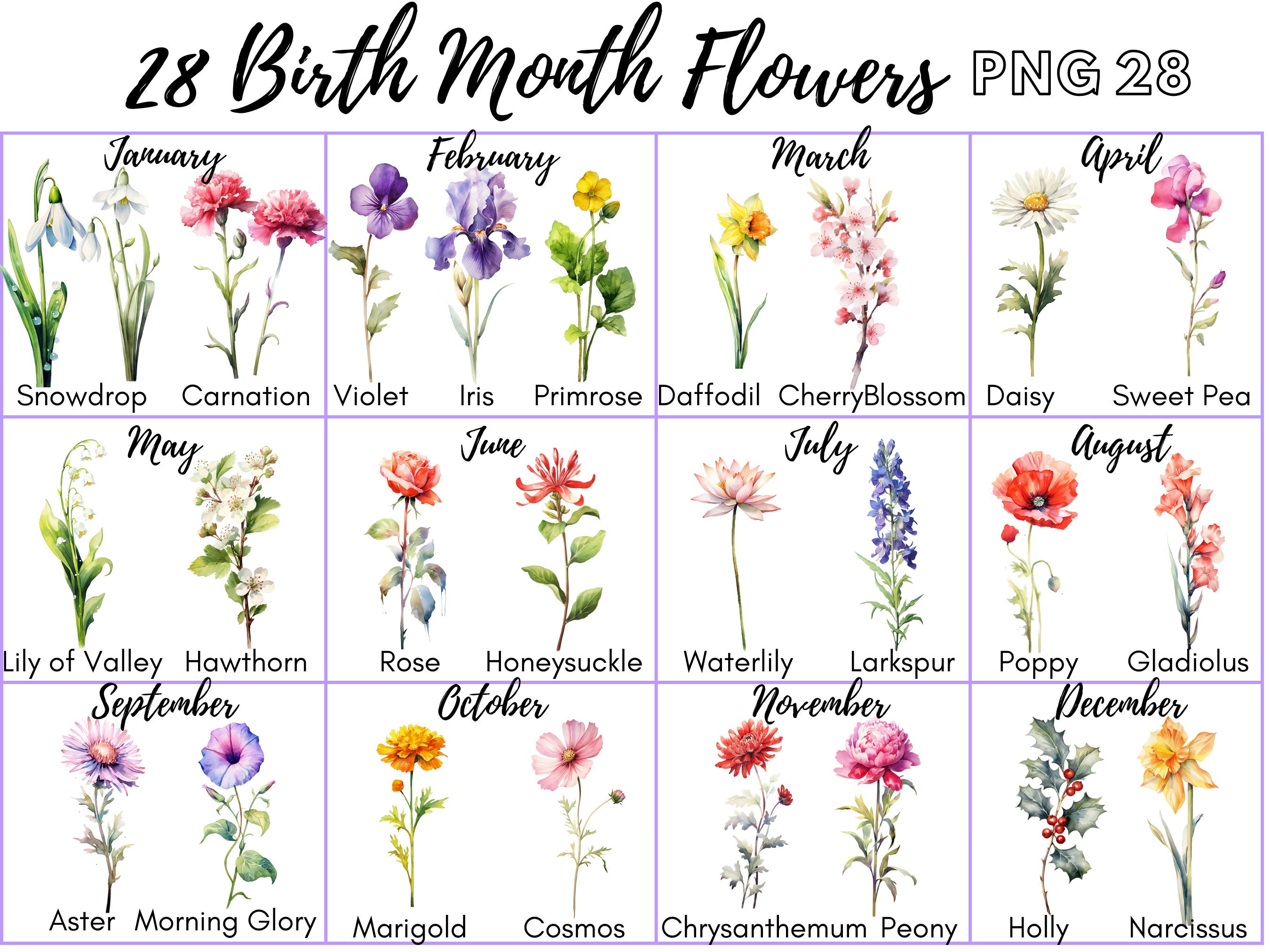 28 Birth Month Flowers Clipart, PNG, Set Watercolor, Watercolor Floral ...