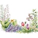 10 Watercolor Spring Border Clipart Jpgs,commercial Use,digital ...