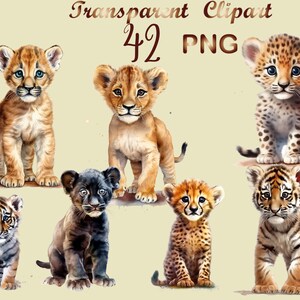 42 PNG Watercolor Safari Animals Clipart Bundle, Nursery Clipart ...