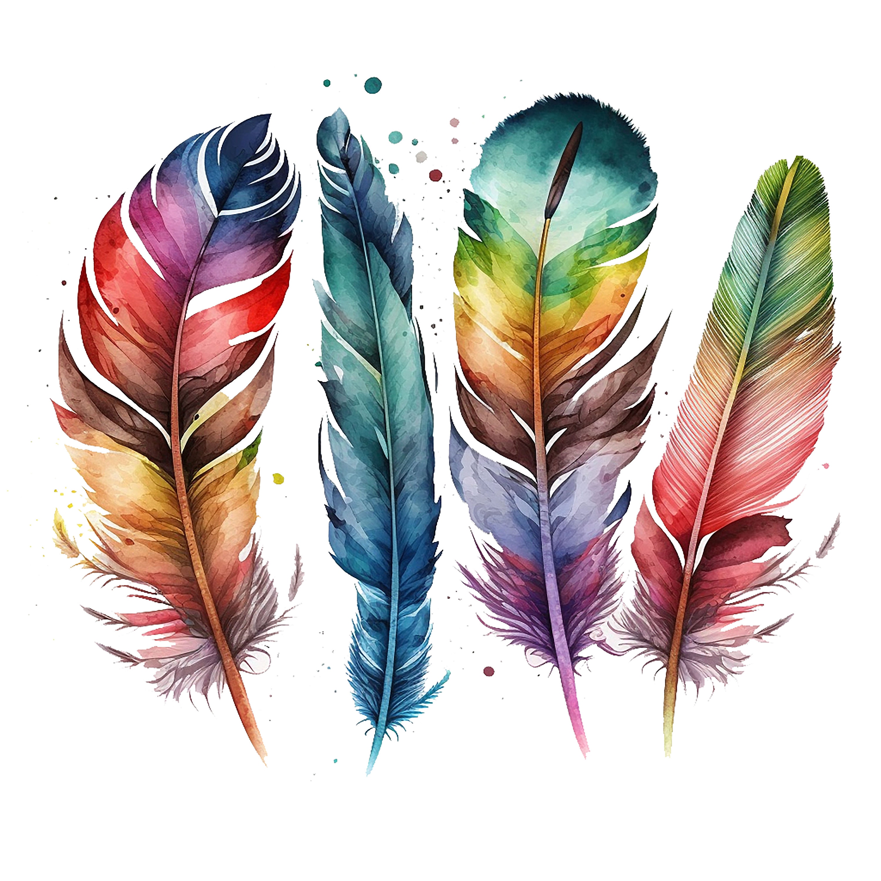 Watercolor Feather Clip Art
