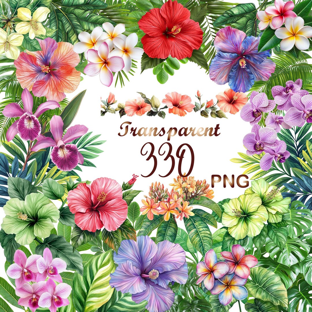 330 PNG Tropical Leaves & Flowers Clipart, Tropical Plants Jungle, Jungle Greenery, Hawaii ...