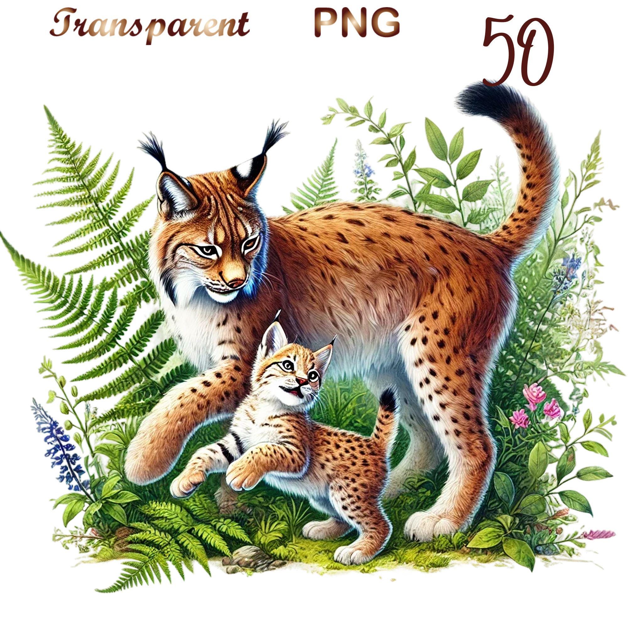 50 PNG, Woodland Clipart Bundle, Cute Forest Animals,forest Animals ...