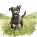 10 Patterdale Terrier Clipart High Quality Jpgs Commercial - Etsy UK