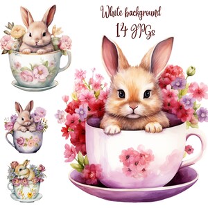 14 Watercolor Bunny Clipart, Jpgs, Easter Bunny Clipart, Bunny in a Cup ...