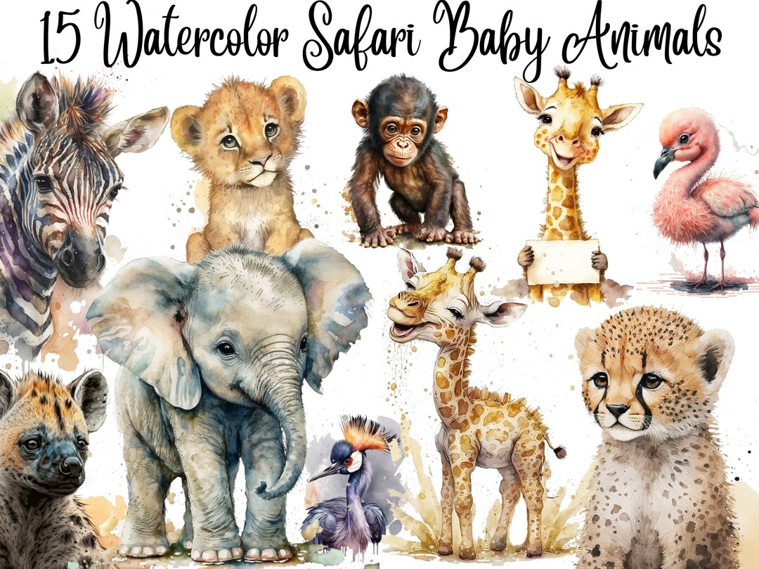 15 Safari Baby Animals Watercolor Clipart, Jpgs, Digital Crafting ...