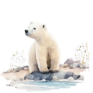 13 Watercolor Polar Bear Clipart, Jpgs, Commercial Use, Digital ...