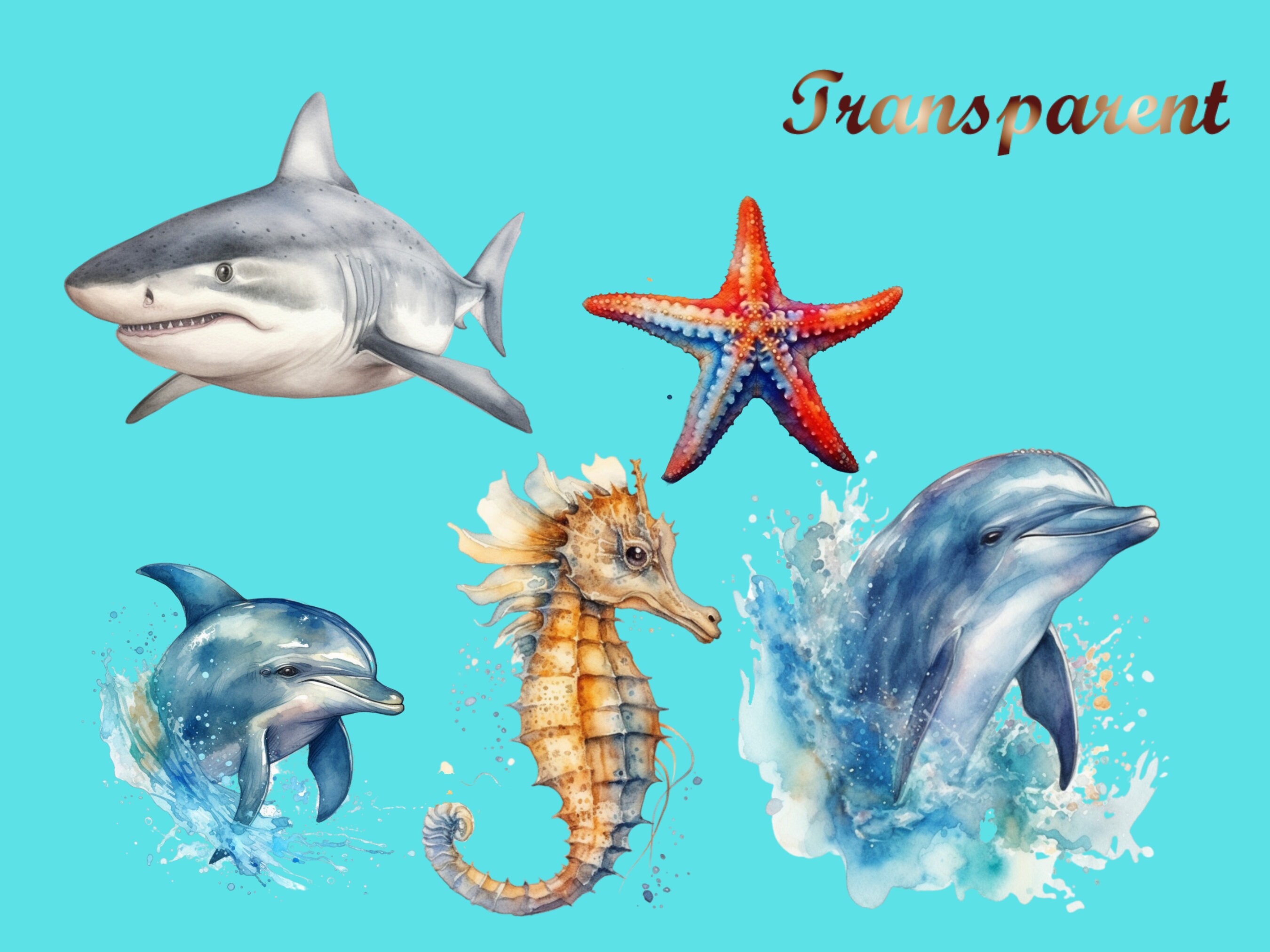 27 Marine Life Png, Instant Download, Png,marine Life,sea Life Png ...