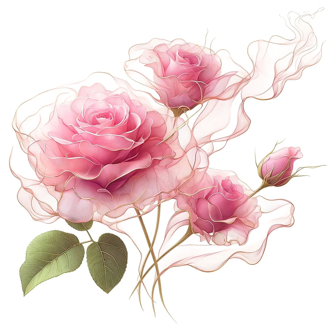 12 Jpgs, Abstract Pink Roses Clipart Bundle, Dried Flowers, Printable ...