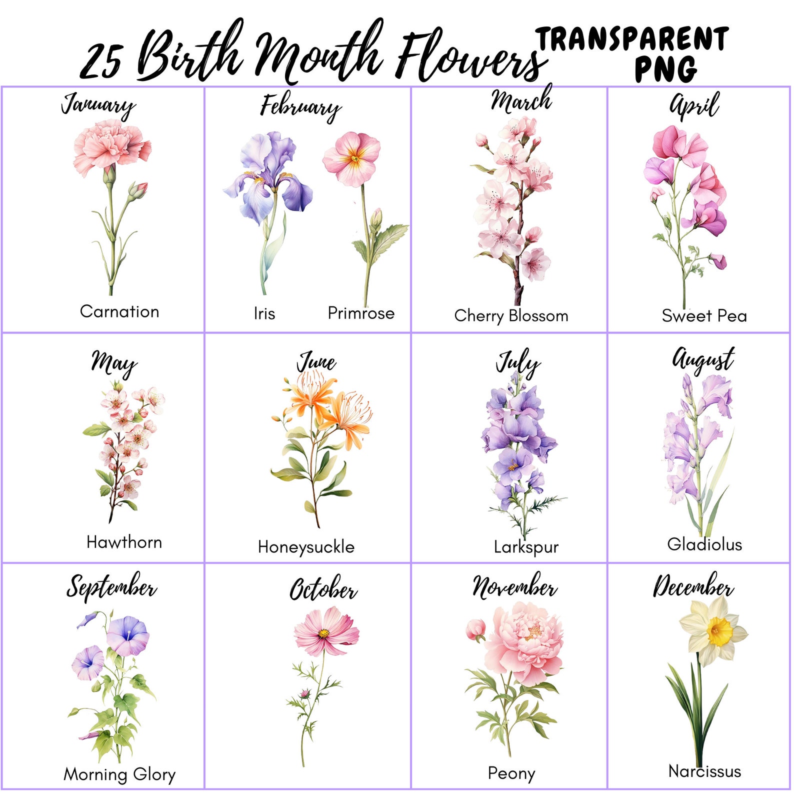25 Birth Month Flowers Clipart, PNG, Set Watercolor, Watercolor Floral ...