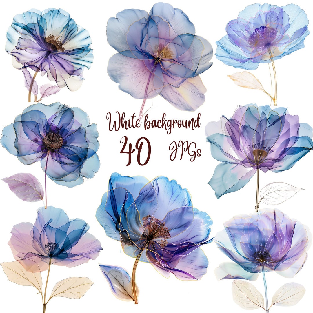 40 Jpgs, Abstract Flowers Clipart Bundle, Dried Flowers, Printable ...