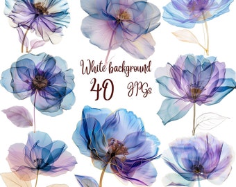 14 Abstract Watercolor Flowers Clip Art, Printable Clip Art, High ...