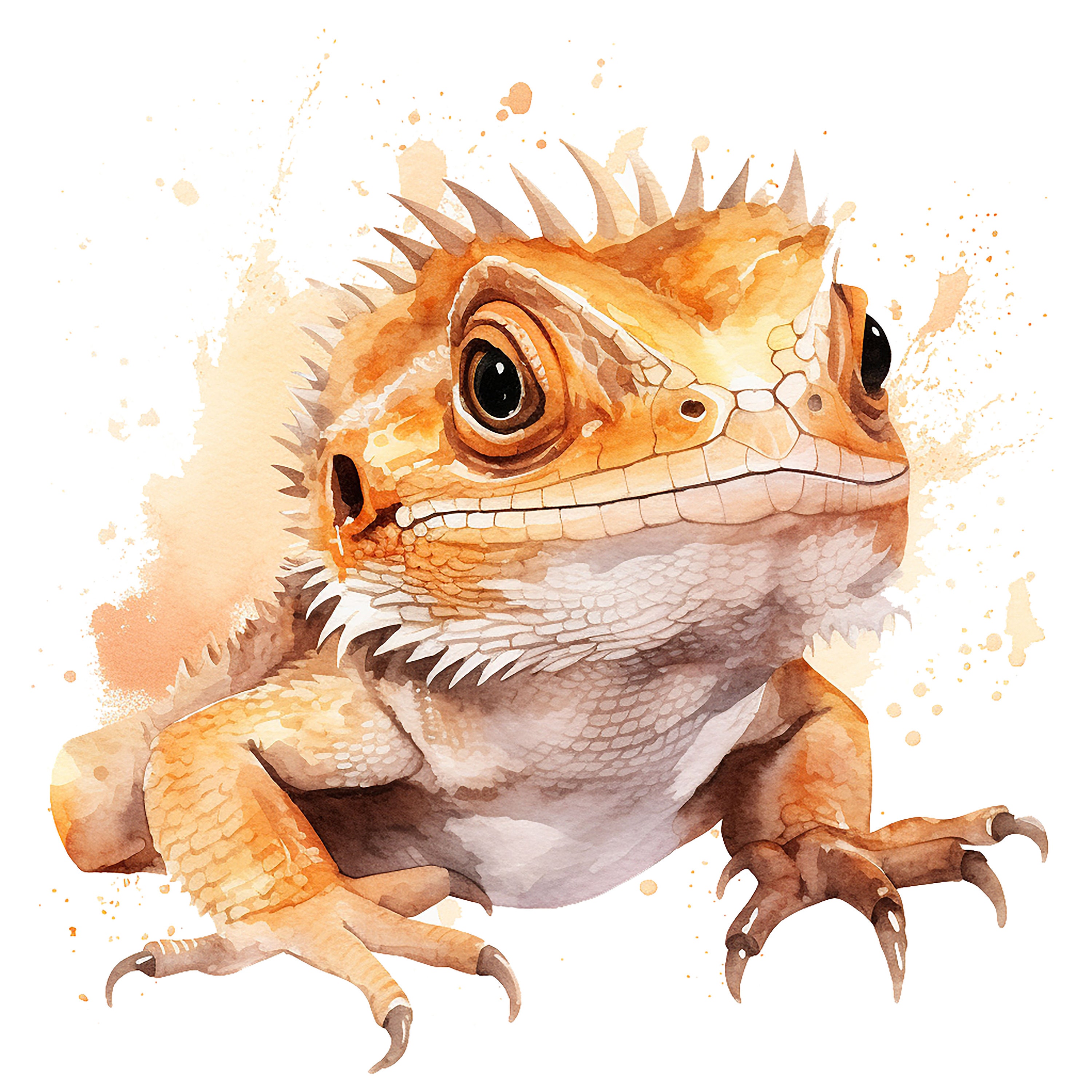 20 Watercolor Bearded Dragon PNG Clipart, Bearded Dragon Clipart Bundle ...