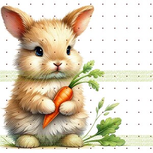 35 PNG Rabbit Set 2 Clipart Bundle, Bunnies Illustrations Graphics ...