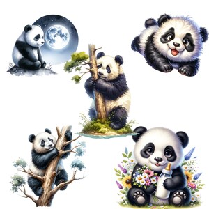 31 PNG, Cute Panda Clipart, Adorable Panda Clipart Bundle, Panda Pack ...