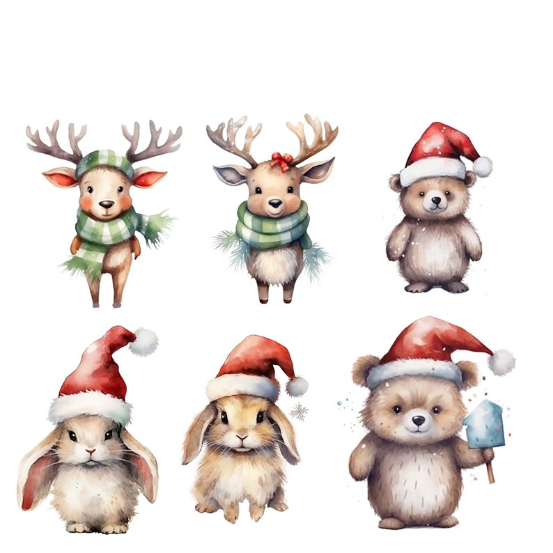 Watercolor Christmas Clipart: Woodland Animals PNG (digital Download ...