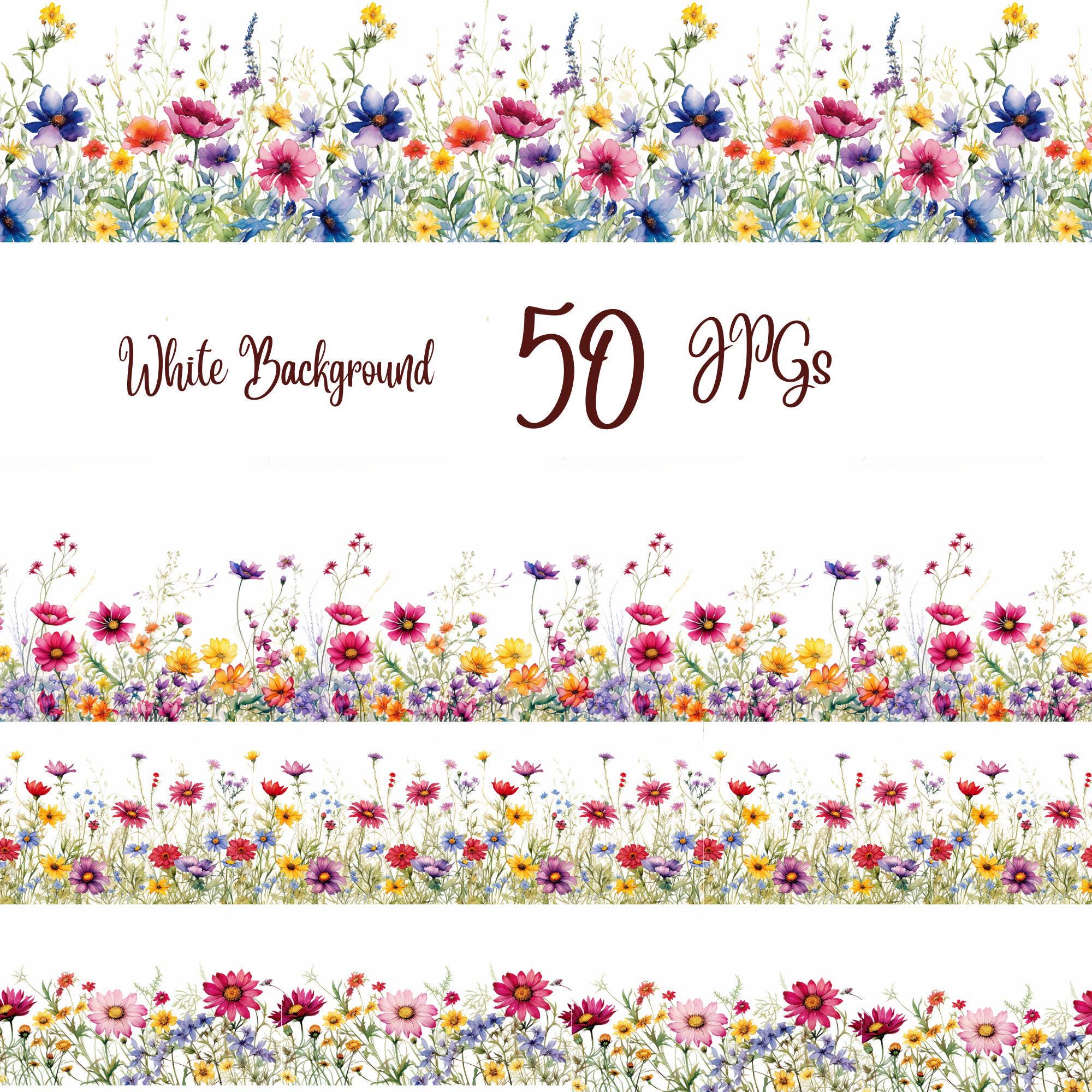 50 Flower Border Clipart, High Quality Jpgs, Digital Download - Card ...