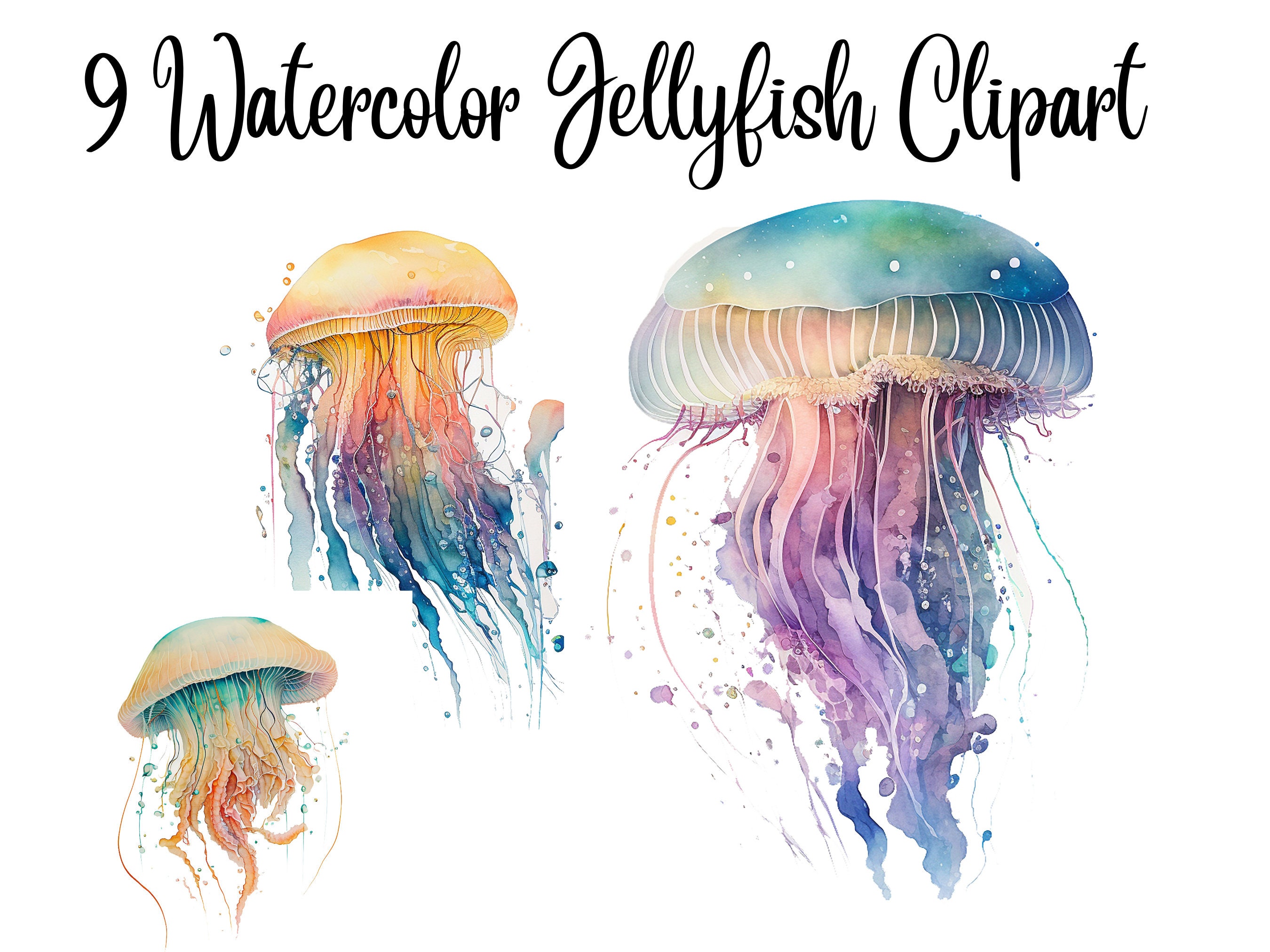 Jelly Fish Clip Art