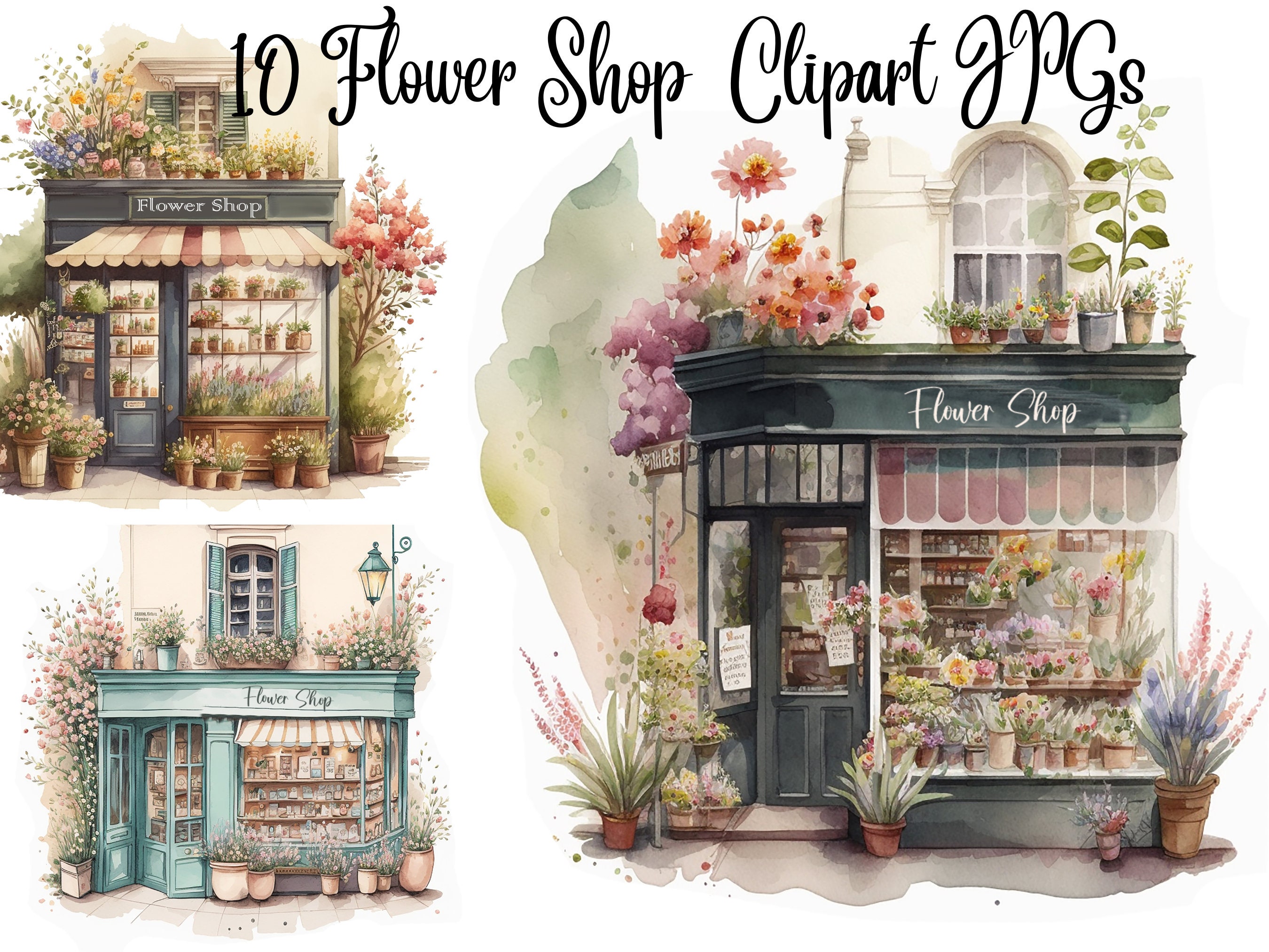 Cute Flower Shops