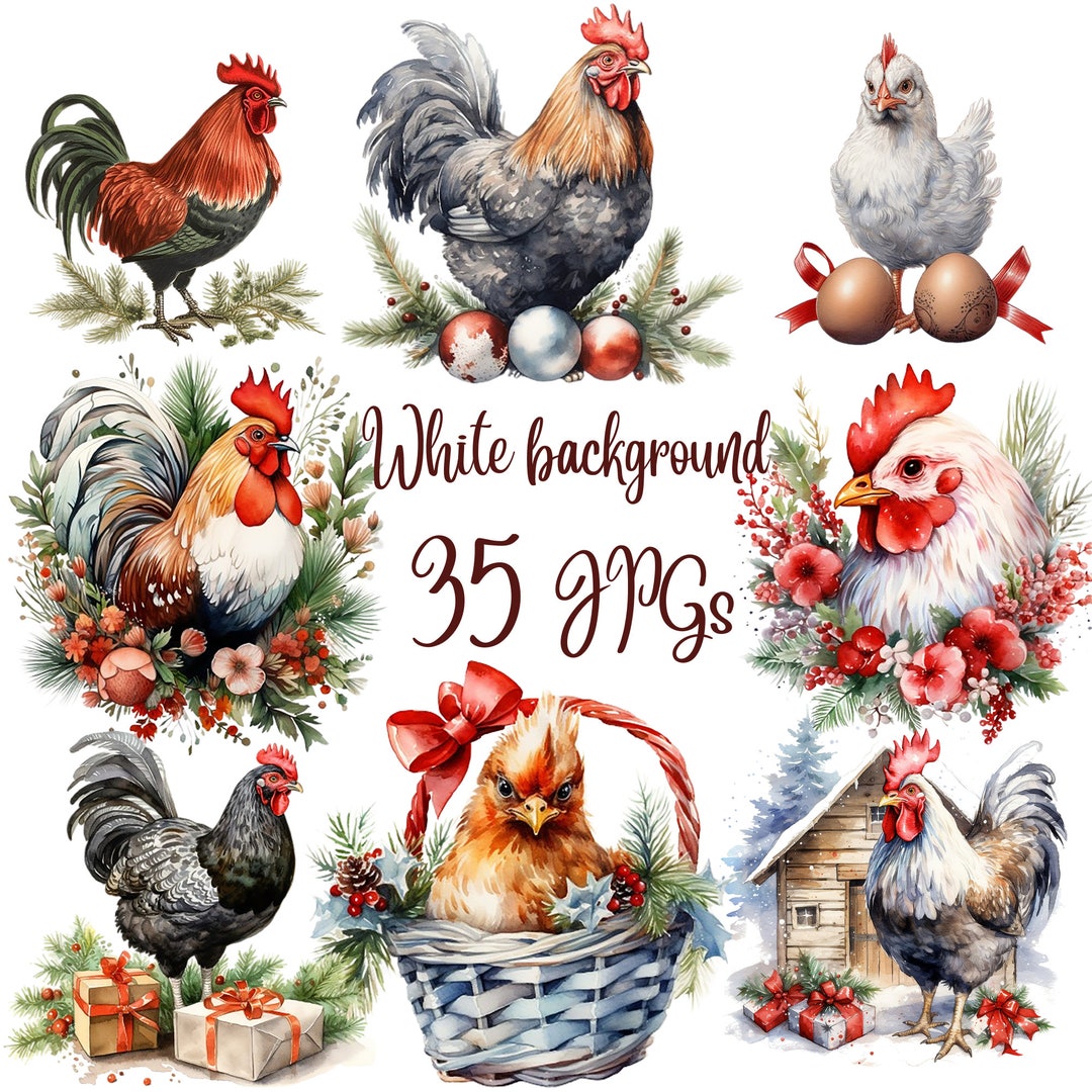 35 Christmas Chicken Clipart, High Quality JPG, Digital Download, Card ...