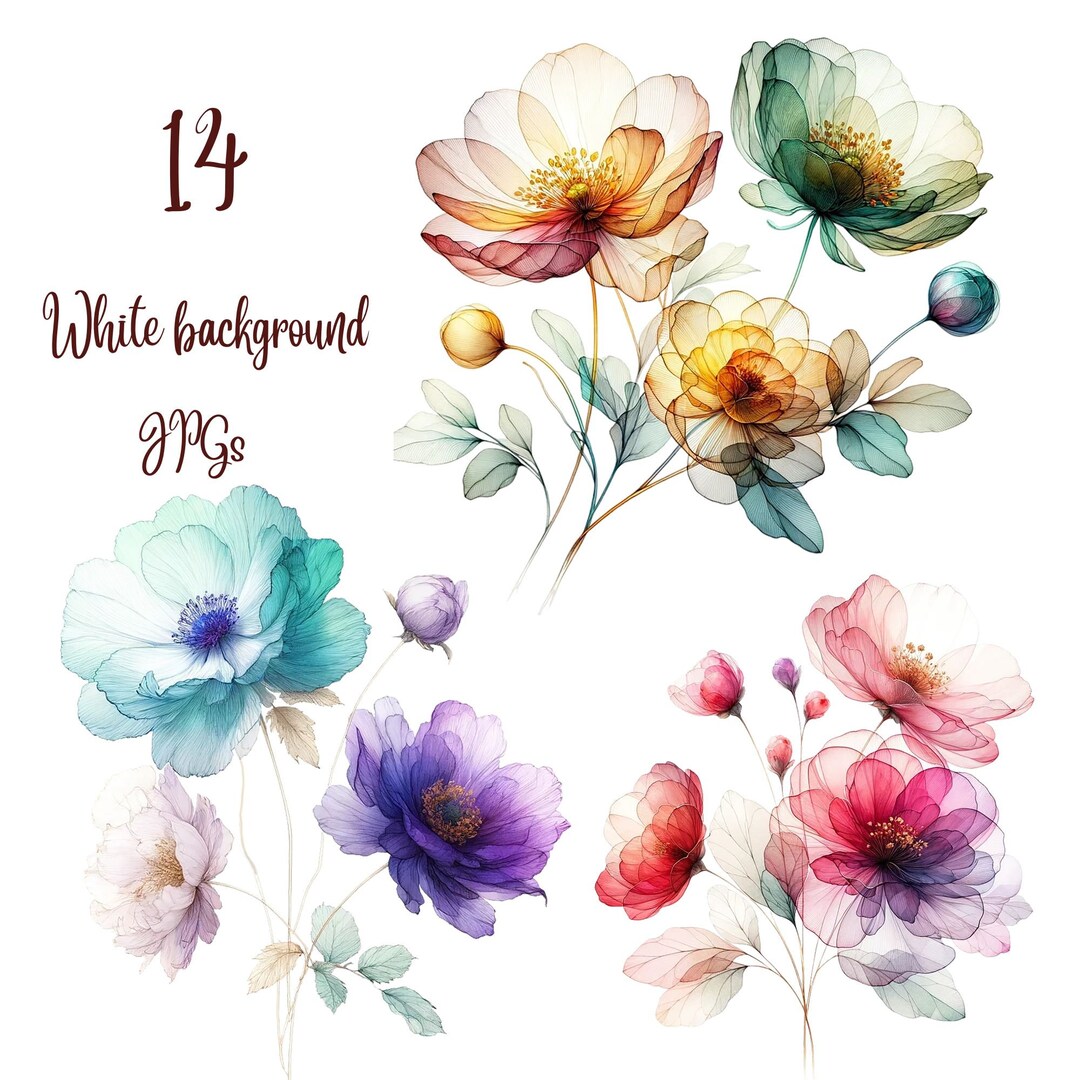 14 Jpgs, Abstract Flowers Clipart Bundle, Dried Flowers, Set2 ...