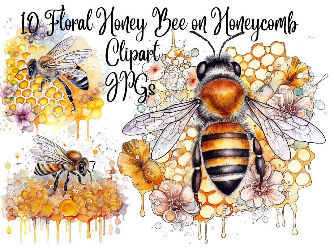10 Floral Honey Bee on Honeycomb, High Quality Jpgs, Watercolor Clipart ...