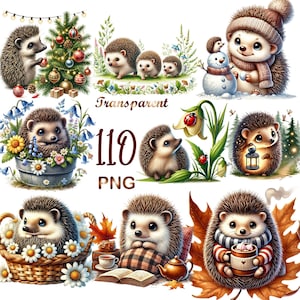 110 PNG Hedgehog Clipart Bundle, Cute Hedgehog Graphics, Illustrations ...