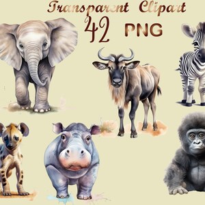 42 PNG Watercolor Safari Animals Clipart Bundle, Nursery Clipart ...