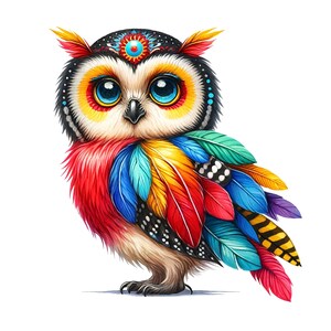 20 Jpgs, Owl Clipart Bundle, Cute Owl Clipart, Colorful Owls, Owl ...