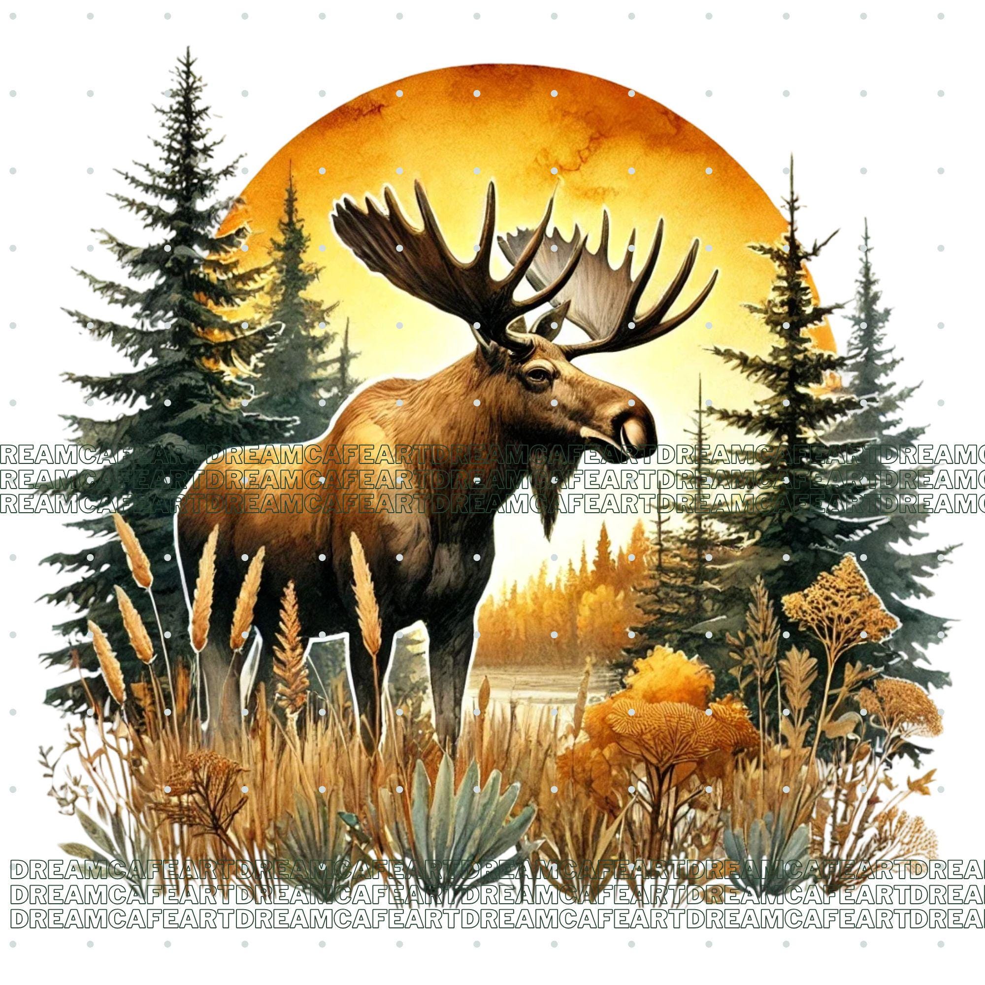 50 PNG Moose Clipart Bundle | Moose Drawing Graphics | Digital Download ...