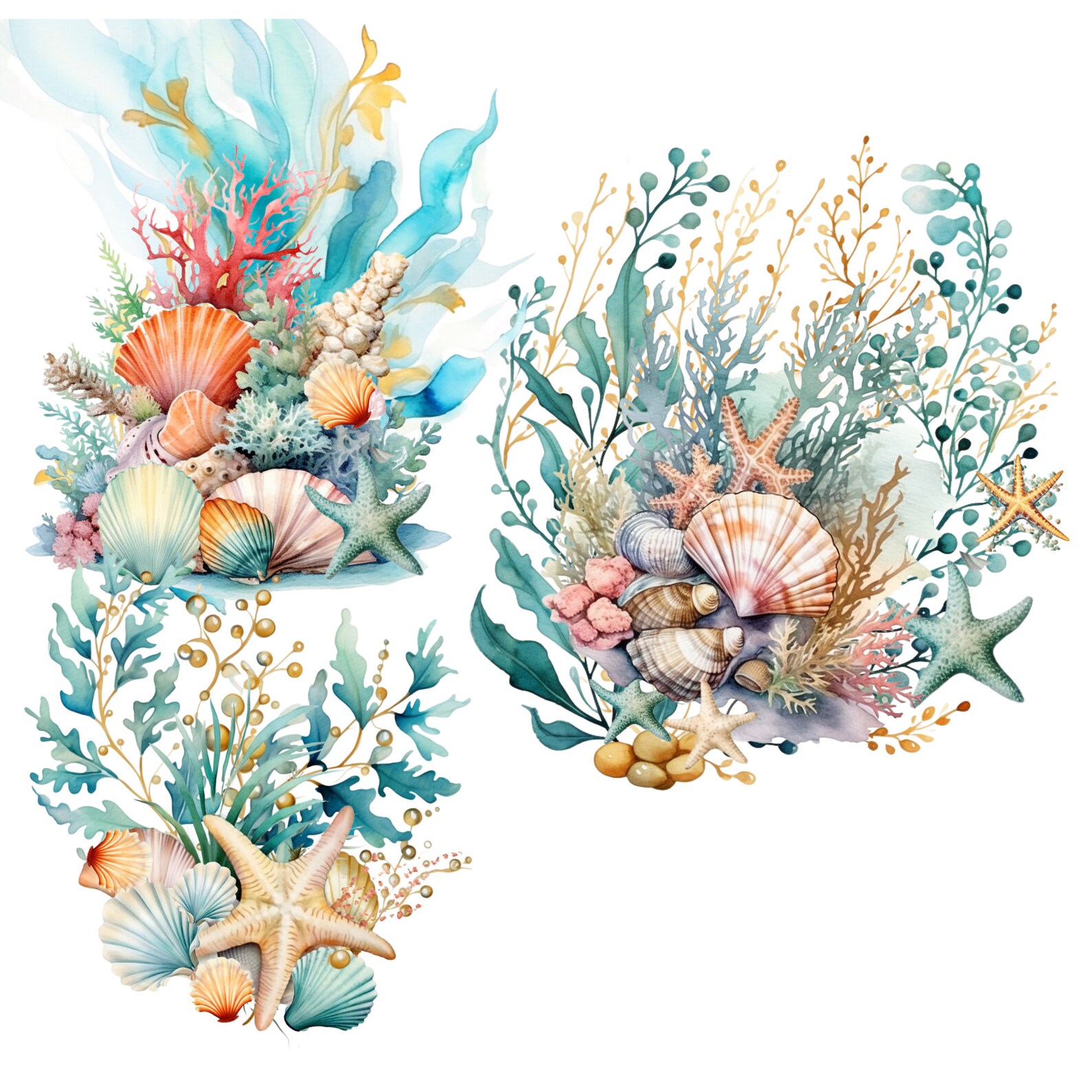 10 Watercolor Seashell Clipart PNG, Beach Clipart, Nautical Clipart ...