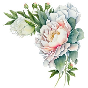 12 Peony Frames Png, Floral Clipart, Watercolor Flower Border, Peony ...