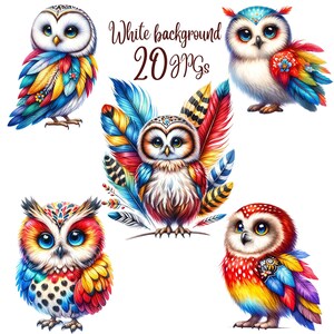 20 Jpgs, Owl Clipart Bundle, Cute Owl Clipart, Colorful Owls, Owl ...