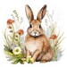 20 Spring Hare Clipart Jpgs, Printable Watercolor Clipart, Sping Rabbit ...