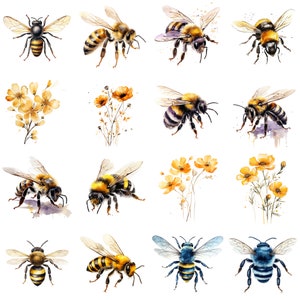 57 Watercolor Bumblebee Clipart Png,bee Clipart,bee Sublimation ...