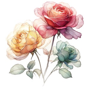 22 Jpgs, Abstract Roses Clipart Bundle, Dried Flowers, Printable ...