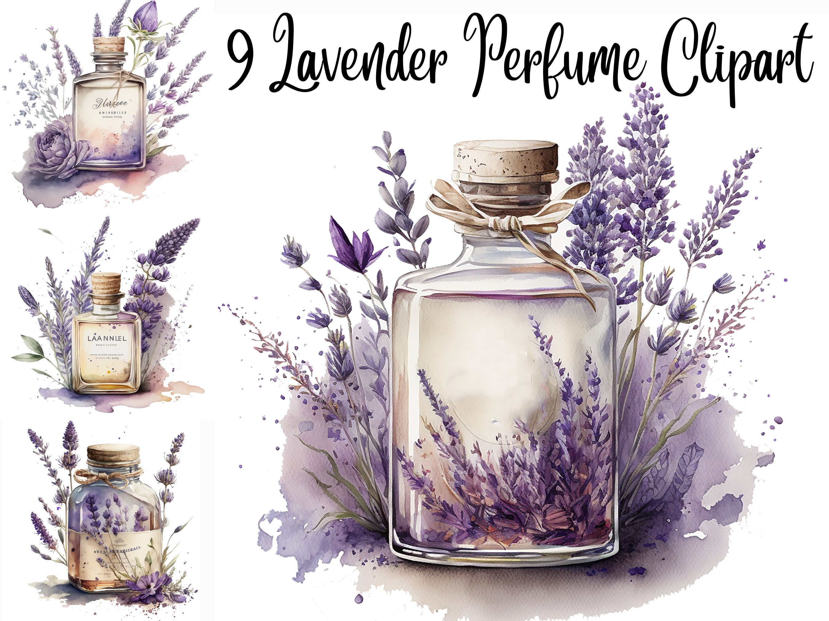 47 Lavender Clipart, Bundle, Watercolor Lavender, Watercolor Clipart ...