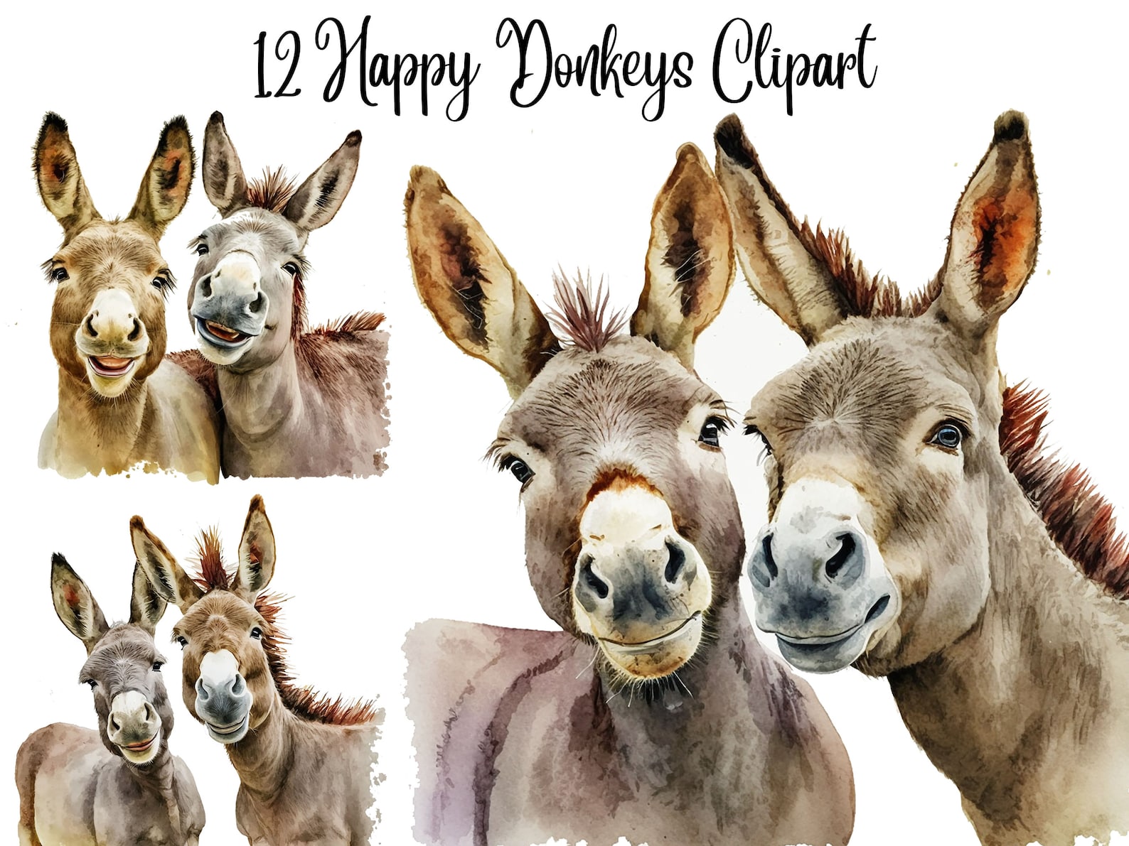 12 Happy Donkeys Clipart, Donkey Clipart, JPG, Commercial Use,digital ...
