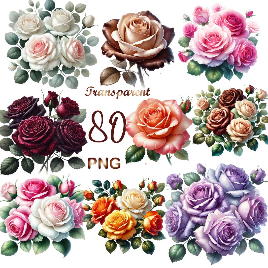 80 PNG Roses Clipart Bundle, Beautiful Colorful Floral Graphics ...