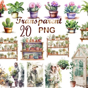 20 Watercolor Potted Plants Clipart, Watercolor Potted Plants Clipart ...