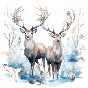 20 Winter Stag and Doe Clipart, High Quality Jpgs, Scrapbooking, Memory ...