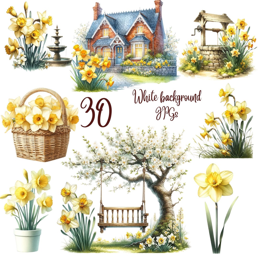 30 Jpgs Daffodil Clipart Bundle, Watercolor Daffodil Clipart, Floral ...