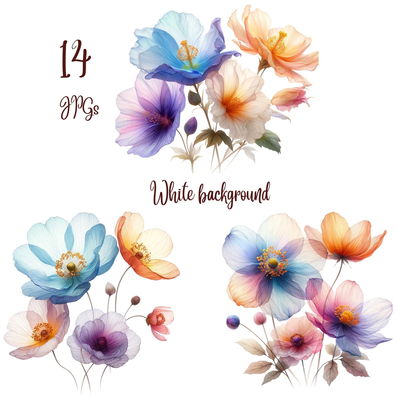 14 Jpgs, Abstract Flowers Clipart Bundle, Dried Flowers, Printable ...