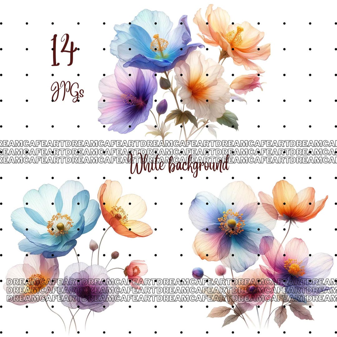 14 Jpgs, Abstract Flowers Clipart Bundle, Dried Flowers, Printable ...
